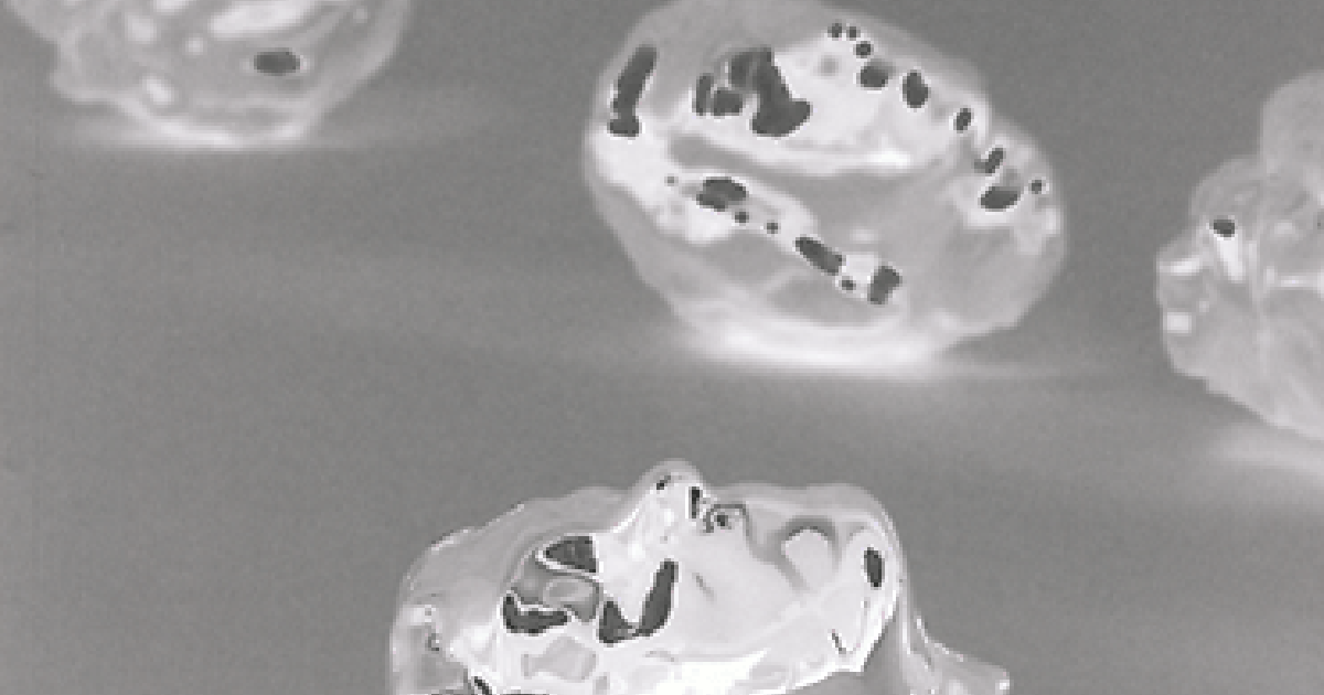 Publication: Alice Maher: Gorget and Other Works | David Nolan Gallery